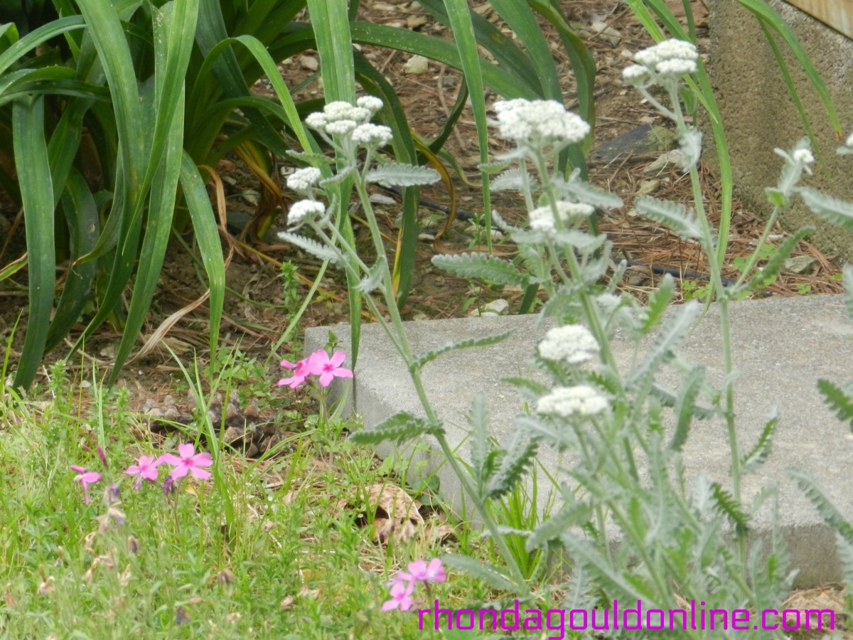 June is Over – Welcome