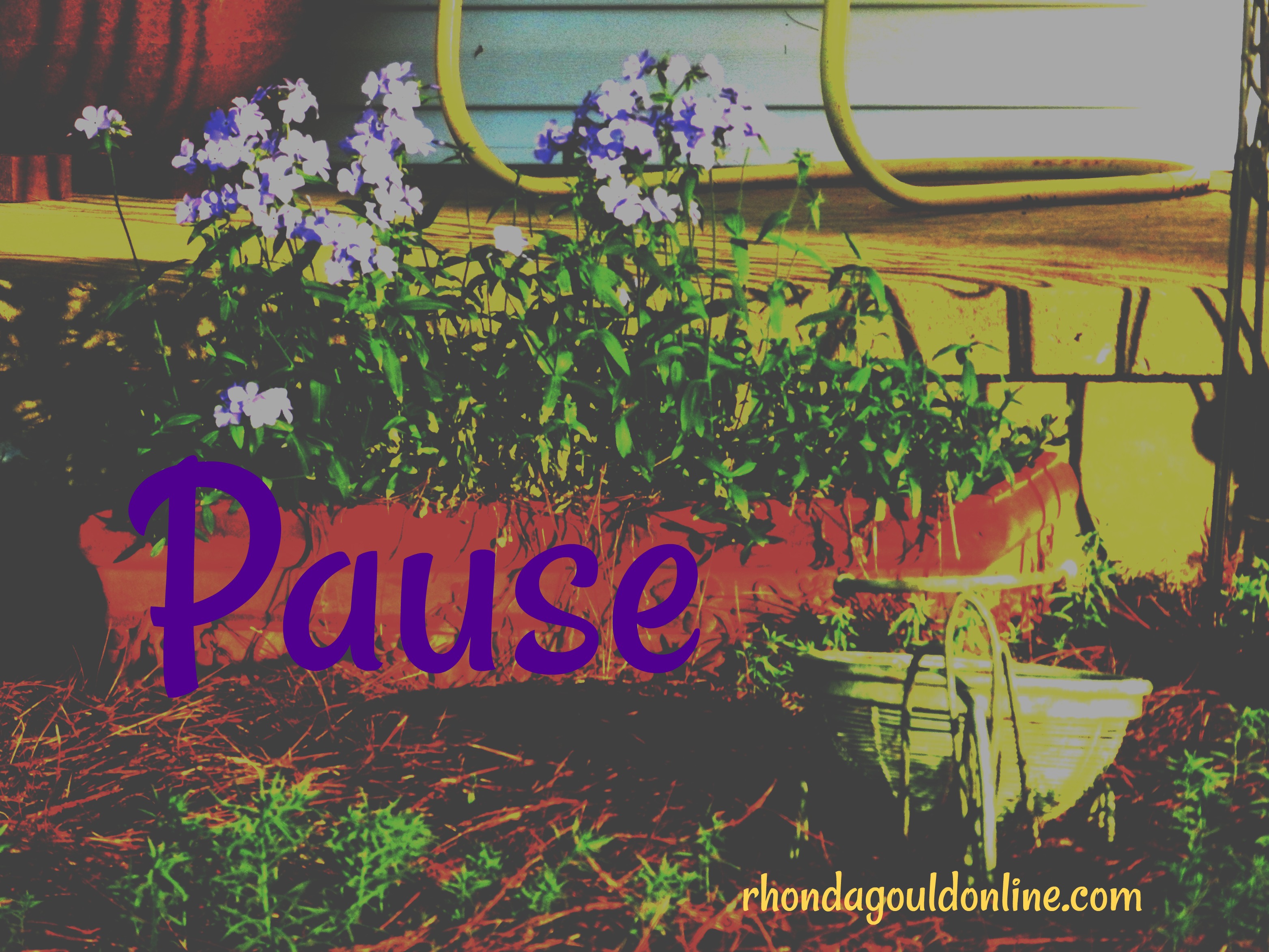 Pause – Resilience and Spiritual Formation Coaching